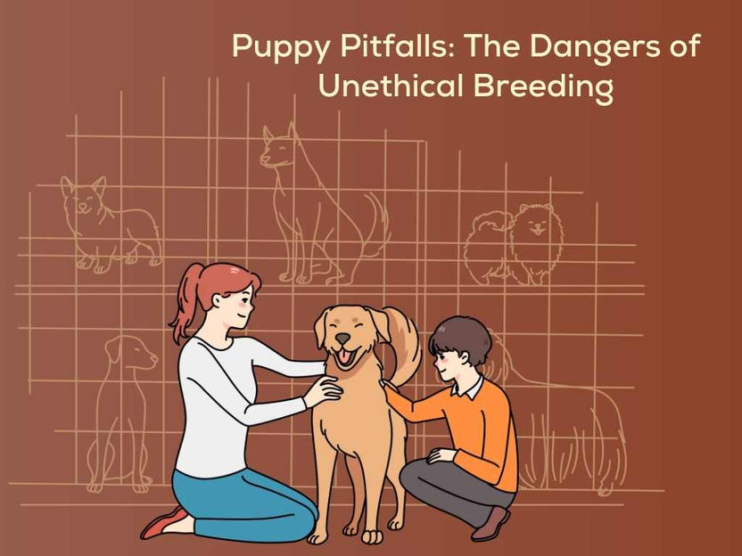 Puppy Pitfalls: The Dangers of Unethical Breeding – stepevoli